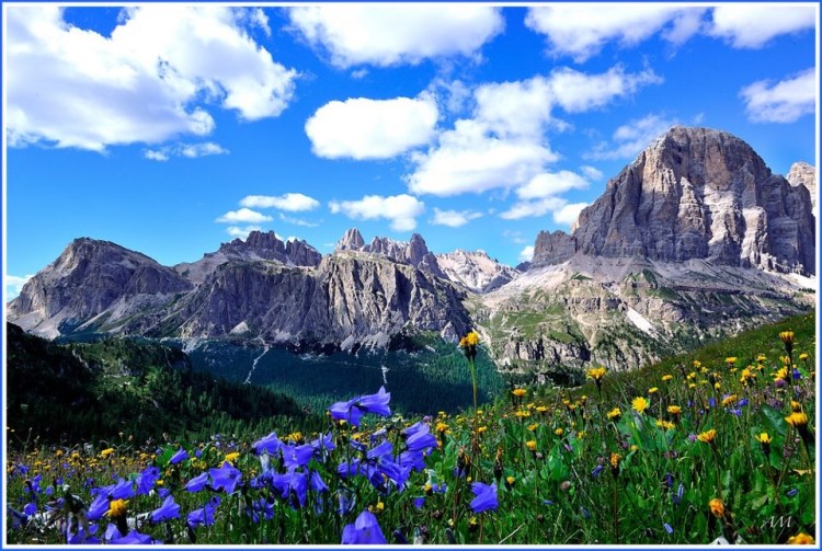 Venice to the Alps – The Educated Traveller