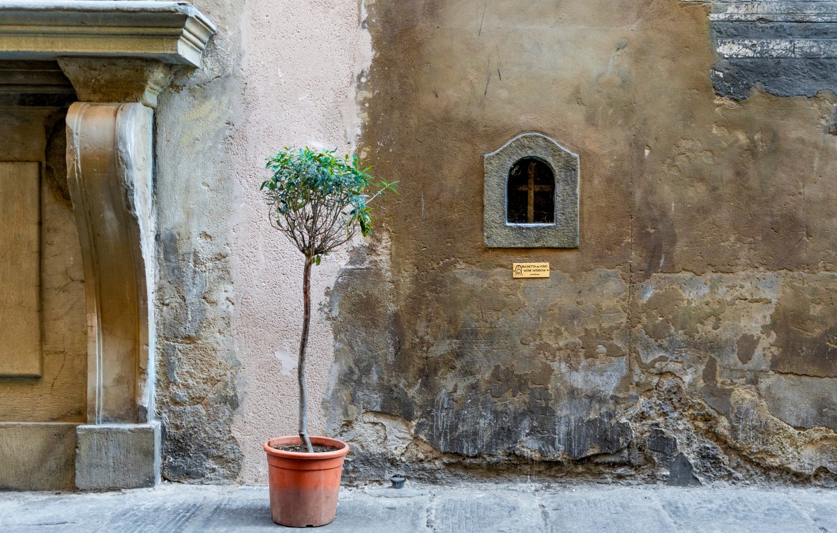 The wine windows of Florence – The Educated Traveller
